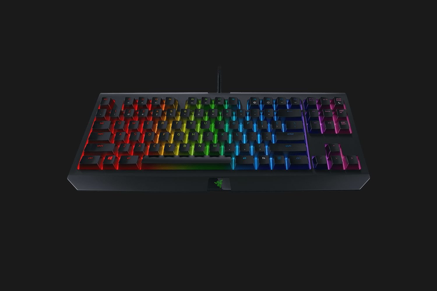 Razer BlackWidow TE Chroma v2 TKL Tenkeyless Mechanical Gaming Keyboard: Green Key Switches, Tactile & Clicky, Chroma RGB Lighting, Magnetic Wrist Rest, Programmable Macros, Classic Black