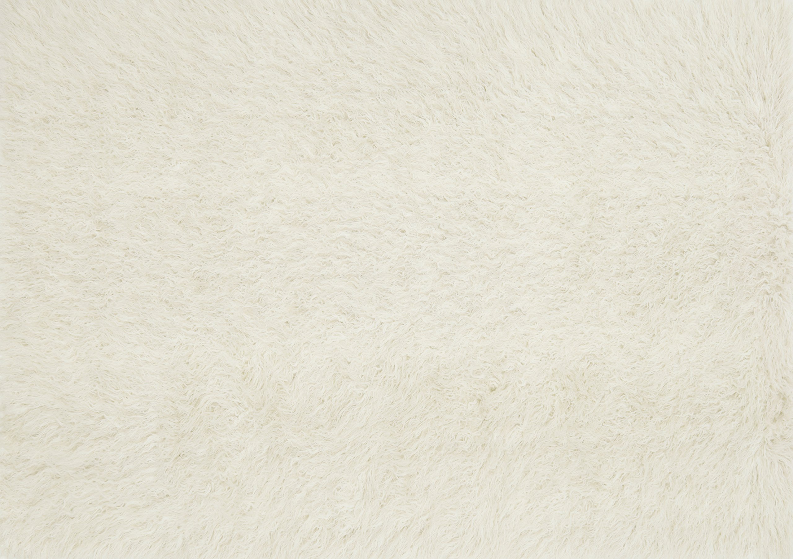 Loloi Petra Collection Shag Area Rug, 3'-0" x 5'-0", Ivory/Beige