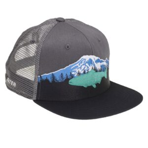 repyourwater washington - mount rainier mesh back hat