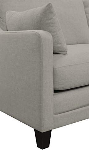 Serta Carmina 75 Contemporary Upholstered Living Room Sofa, Modern Couch for Two or Three, High Plush Seat Cushions and Back Pillows, Easy Assembly, Rhine Gray