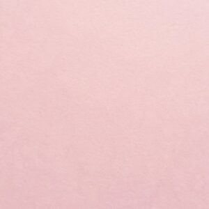 Cardstock Warehouse Pop Tone Pink Lemonade - 8.5 x 11" - 65 Lb. / 175 Gsm Matte Premium Cardstock Paper - 50 Sheets