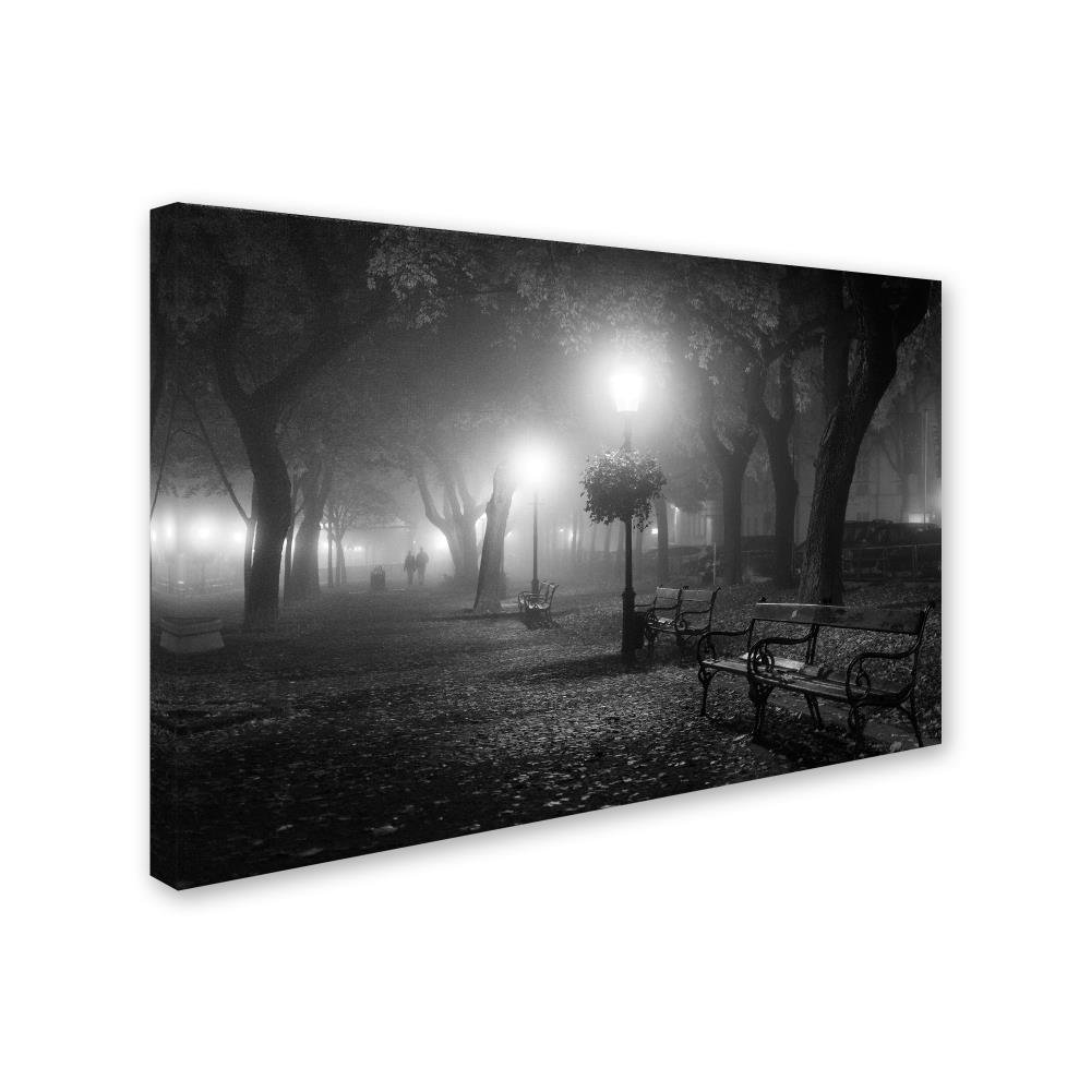 Foggy Day by Ilias Nikoloulis, 30x47-Inch Canvas Wall Art