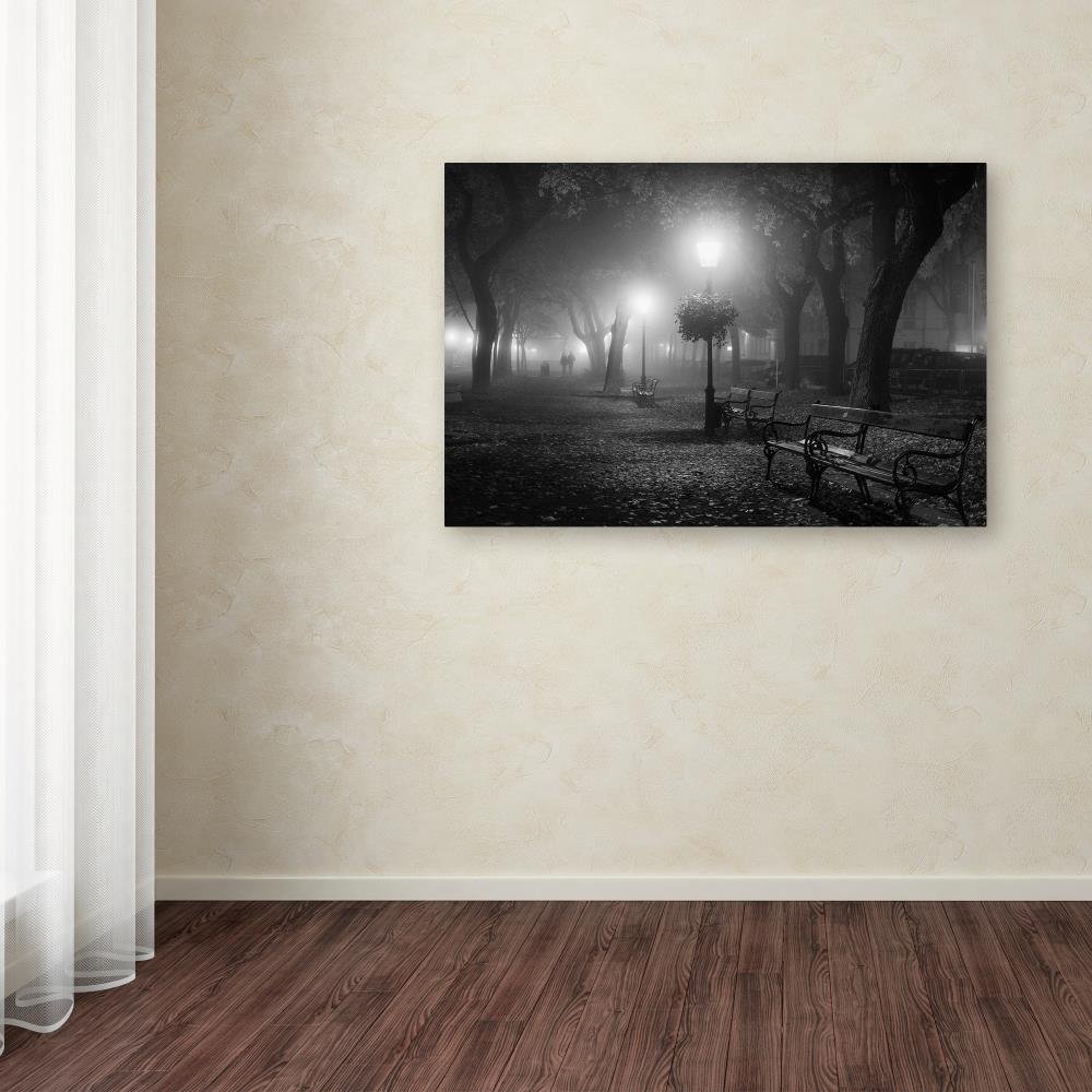 Foggy Day by Ilias Nikoloulis, 30x47-Inch Canvas Wall Art