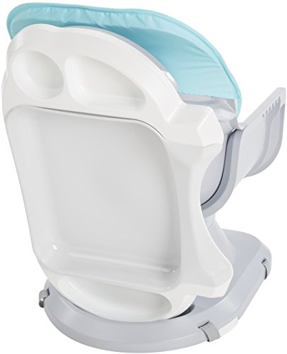 Fisher-Price Baby to Toddler High Chair SpaceSaver Portable Dining Seat & Booster with Washable Deep Tray & Liner, Windmill