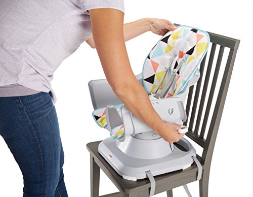 Fisher-Price Baby to Toddler High Chair SpaceSaver Portable Dining Seat & Booster with Washable Deep Tray & Liner, Windmill