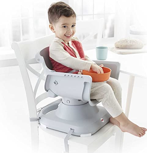 Fisher-Price Baby to Toddler High Chair SpaceSaver Portable Dining Seat & Booster with Washable Deep Tray & Liner, Windmill