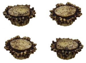 old river antler drawer / cabinet knobs (4 pack) - 2 sizes of screws and washers included