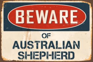 beware of australian shepherd 8” x 12” vintage aluminum retro metal sign vs462