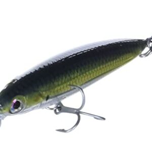 Rapala X-Rap Saltwater 08 SXR08PLD: X-Rap Saltwater 08 Pilchard