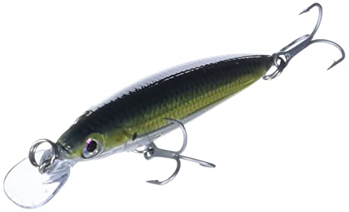 Rapala X-Rap Saltwater 08 SXR08PLD: X-Rap Saltwater 08 Pilchard