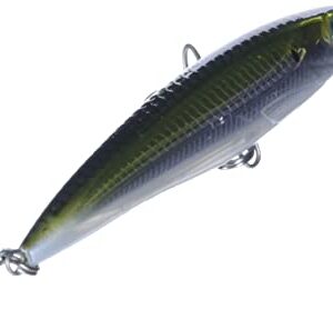 Rapala X-Rap Saltwater 08 SXR08PLD: X-Rap Saltwater 08 Pilchard