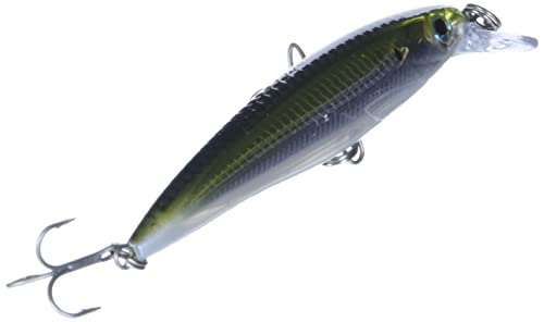 Rapala X-Rap Saltwater 08 SXR08PLD: X-Rap Saltwater 08 Pilchard