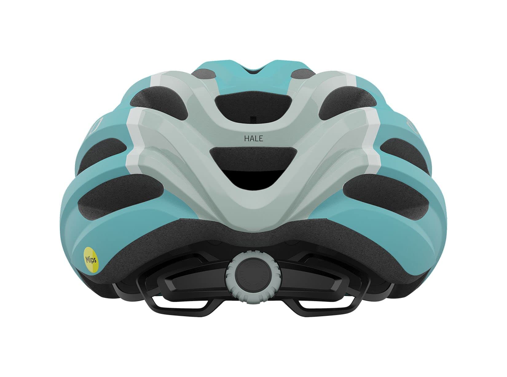 Giro Hale MIPS Youth Cycling Helmet - Matte Glacier (2022), Universal Youth (50-57 cm)