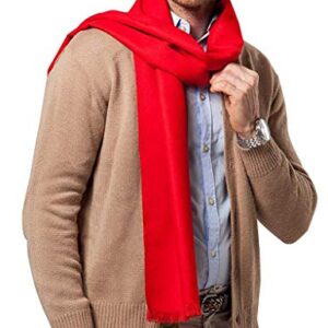 Shubb Men's Scarf, Soft and Warm Cashmere Feel Scarf for Men Winter Scarves Long, Red