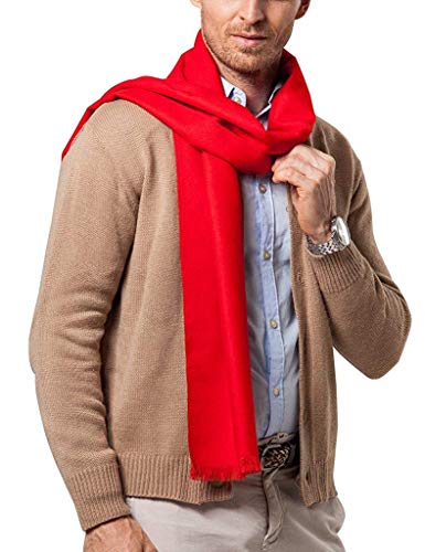 Shubb Men's Scarf, Soft and Warm Cashmere Feel Scarf for Men Winter Scarves Long, Red