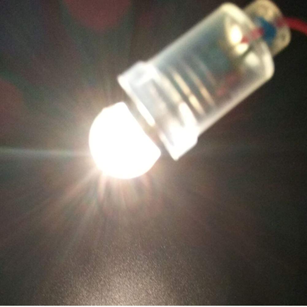 10x E10 6V / 0.5A 3W Light Bulb Miniature Screw Base Lamp Flashlight Torch Experiment Work Light (Box of 10)