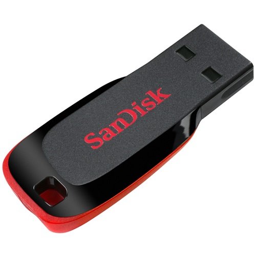 SanDisk Cruzer Blade 16GB (50 Pack) USB 2.0/3.0 Flash Drive Jump Drive Pen Drive SDCZ50-016G - with (25) Everything But Stromboli (tm) Lanyard