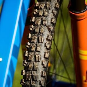 Maxxis Minion DHF DH 29x2.50WT 60 TPI Folding 3C MaxxGrip (TR)