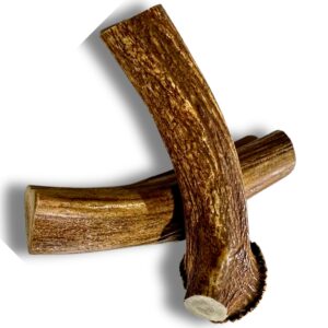 whitetail naturals - deer antlers for x-large dogs (2 pack- jumbo xxl) all natural antler dog chew - naturally shed, long lasting chew bone for big agressive chewers