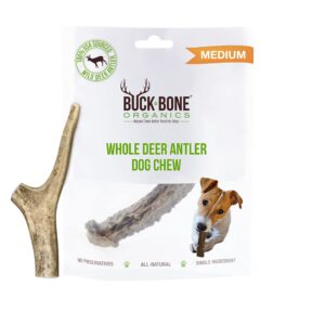 buck bone organics deer antler dog bones, premium grade a - natural dog treat, made in montana (medium)