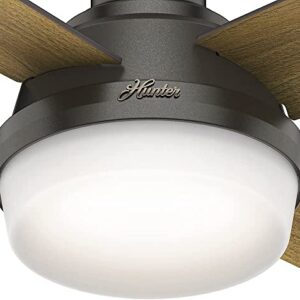 Hunter Fan Company, 59445, 44 inch Dempsey Noble Bronze Low Profile Ceiling Fan with LED Light Kit and Handheld Remote