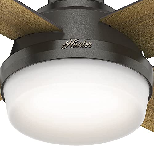 Hunter Fan Company, 59445, 44 inch Dempsey Noble Bronze Low Profile Ceiling Fan with LED Light Kit and Handheld Remote