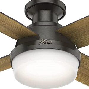 Hunter Fan Company, 59445, 44 inch Dempsey Noble Bronze Low Profile Ceiling Fan with LED Light Kit and Handheld Remote