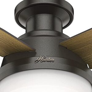 Hunter Fan Company, 59445, 44 inch Dempsey Noble Bronze Low Profile Ceiling Fan with LED Light Kit and Handheld Remote