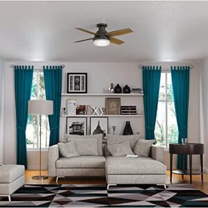 Hunter Fan Company, 59445, 44 inch Dempsey Noble Bronze Low Profile Ceiling Fan with LED Light Kit and Handheld Remote