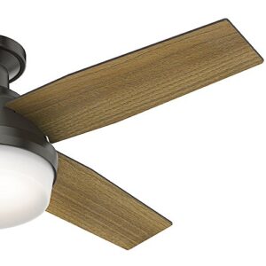 Hunter Fan Company, 59445, 44 inch Dempsey Noble Bronze Low Profile Ceiling Fan with LED Light Kit and Handheld Remote