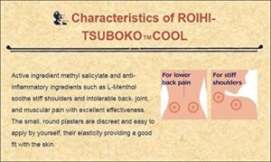 The ROIHI-TSUBOKO Cool-Type Plaster. Cool Relief