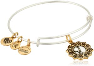 alex and ani women's pisces two tone bangle bracelet