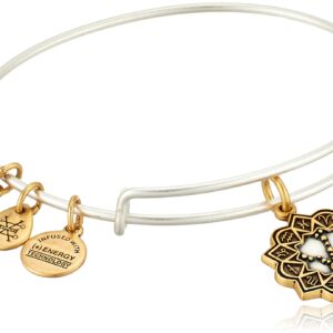 Alex and Ani Women's Pisces Two Tone Bangle Bracelet