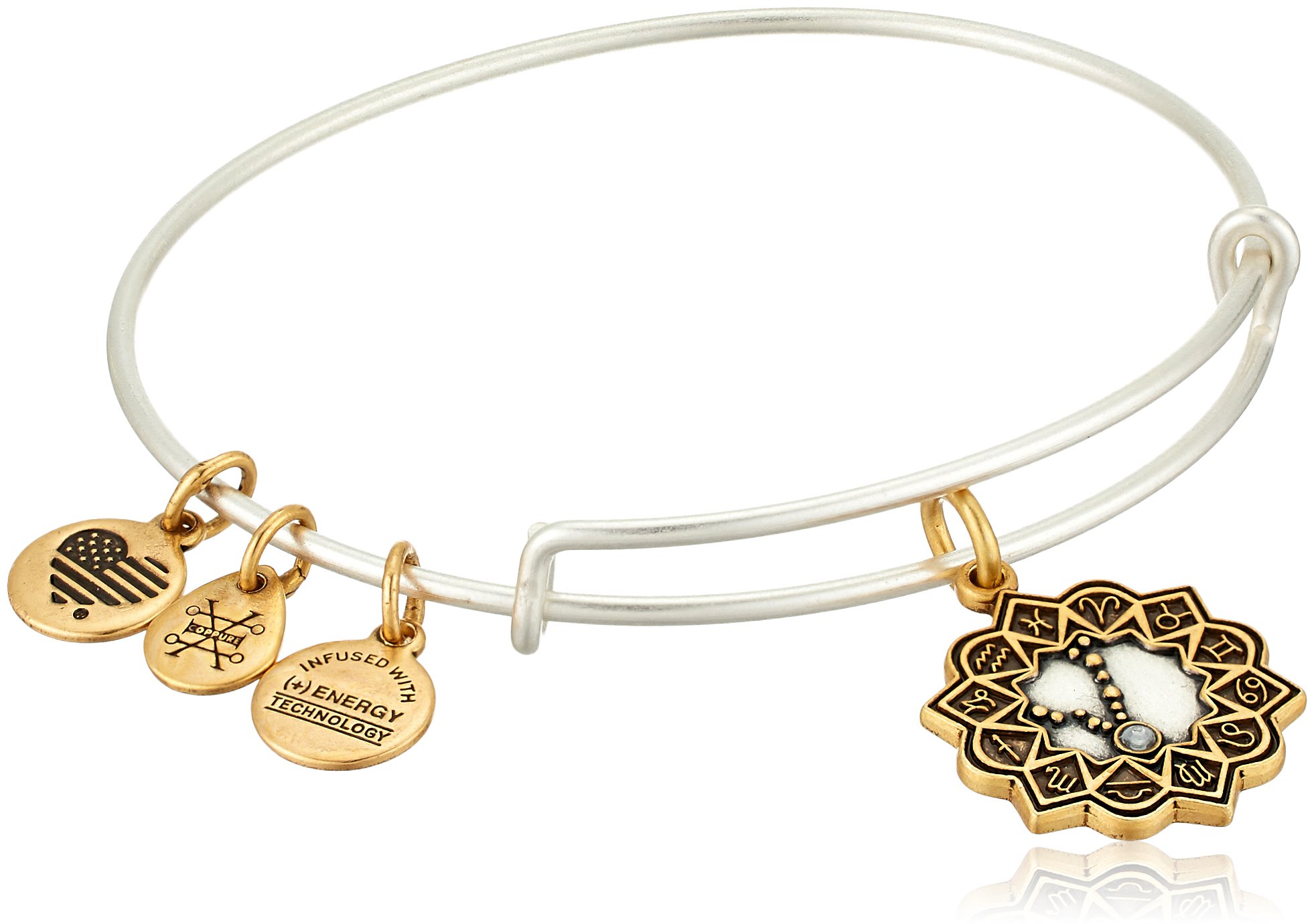 Alex and Ani Women's Pisces Two Tone Bangle Bracelet