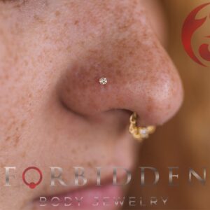 Forbidden Body Jewelry 2-Pack: 20g Surgical Steel Gold Plated L-Shaped 2mm CZ Crystal Nose Studs