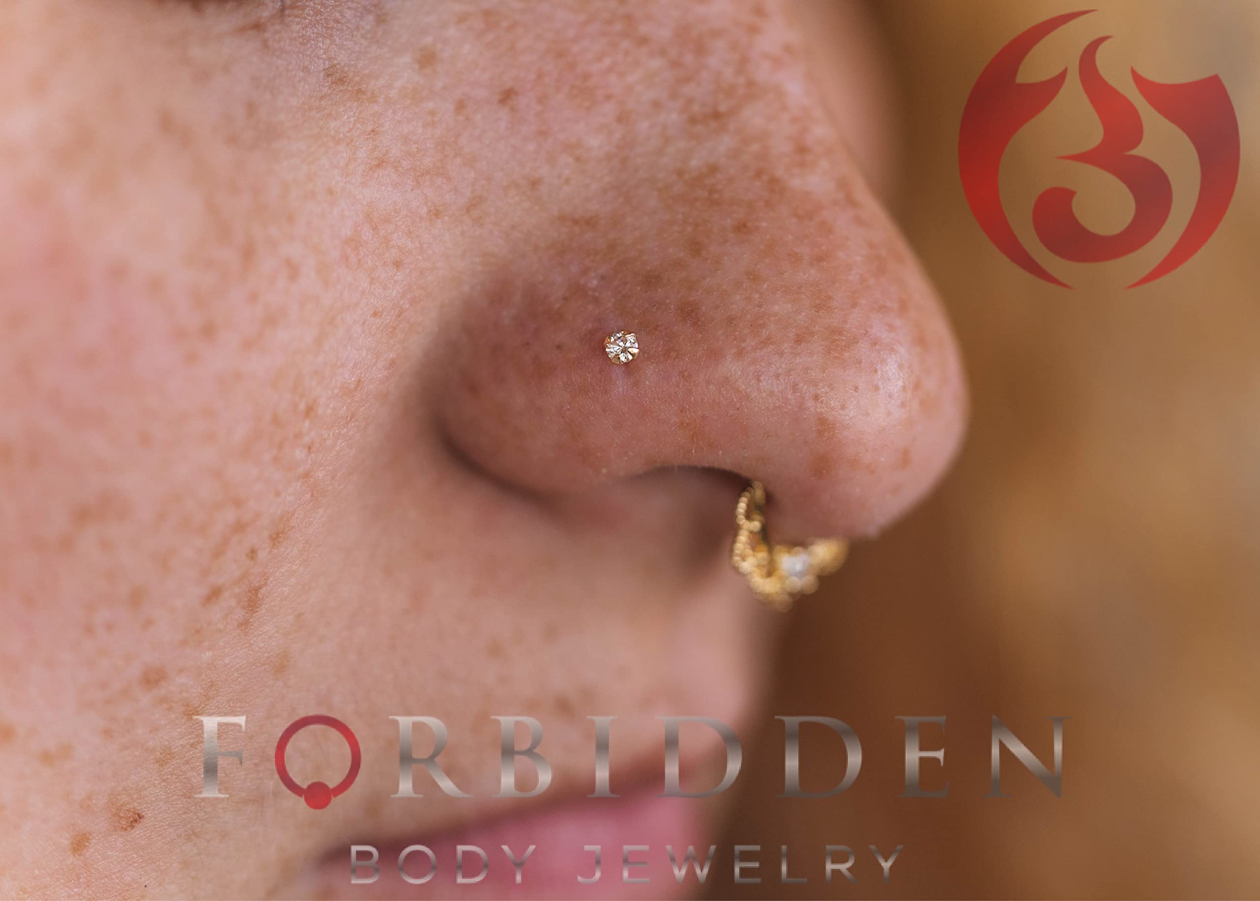 Forbidden Body Jewelry 2-Pack: 20g Surgical Steel Gold Plated L-Shaped 2mm CZ Crystal Nose Studs