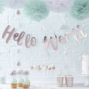 ginger ray rose gold hello world scripted baby shower bunting banner - hello world