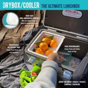 Engel UC19 19qt Leak-Proof, Air Tight, Drybox Cooler and Small Hard Shell Lunchbox for Men and Women in Silver