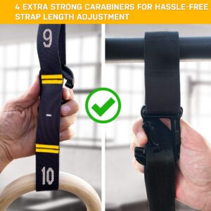 Double Circle Wood Gymnastic Rings 1.25 Inch, with Quick Adjust Numbered Straps and Exercise Videos Guide for Full Body Workout, Crossfit, and Home Gym