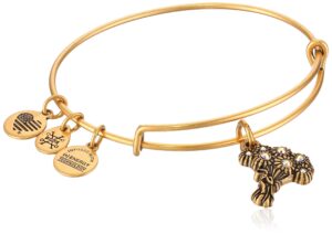 alex and ani womens i pick you ewb bangle bracelet, rafaelian gold, expandable