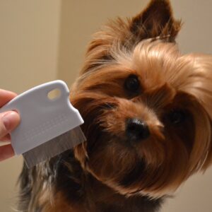 Tear Stain Remover - Fine Tooth Metal Comb to Clean Dogs Eye Boogers - Steel Pet Cleaner and Grooming Accessories - Care for Small Dog Breeds like Shih Tzu, Poodle, Yorkie, Goldendoodle and More