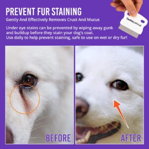 Tear Stain Remover - Fine Tooth Metal Comb to Clean Dogs Eye Boogers - Steel Pet Cleaner and Grooming Accessories - Care for Small Dog Breeds like Shih Tzu, Poodle, Yorkie, Goldendoodle and More