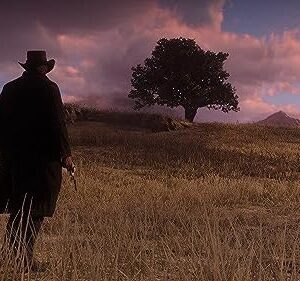 Red Dead Redemption 2 (PS4)