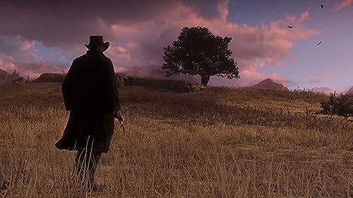 Red Dead Redemption 2 (PS4)