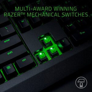 Razer BlackWidow Ultimate: Esports Gaming Keyboard - Dust and Spill Resistant - Individually Backlit Keys - Razer Green Mechanical Switches (Tactile and Clicky)