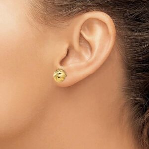 14K Yellow Gold 10mm Stud Earrings