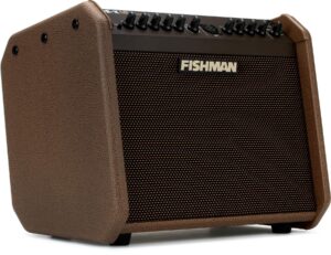 fishman loudbox mini charge 60-watt 1x6.5 inches battery powered acoustic combo amp