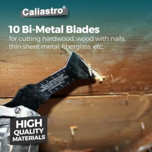 Caliastro 20 Wood Metal Professional Oscillating Multi Tool Quick Release Saw Blades with Universal Fit for Milwaukee, Ridgid, Dewalt, Bosch, Stanley, Ryobi, Makita, Skil, Black & Decker