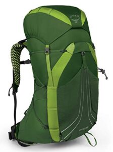 osprey packs exos 58 backpacking pack, tunnel green, small