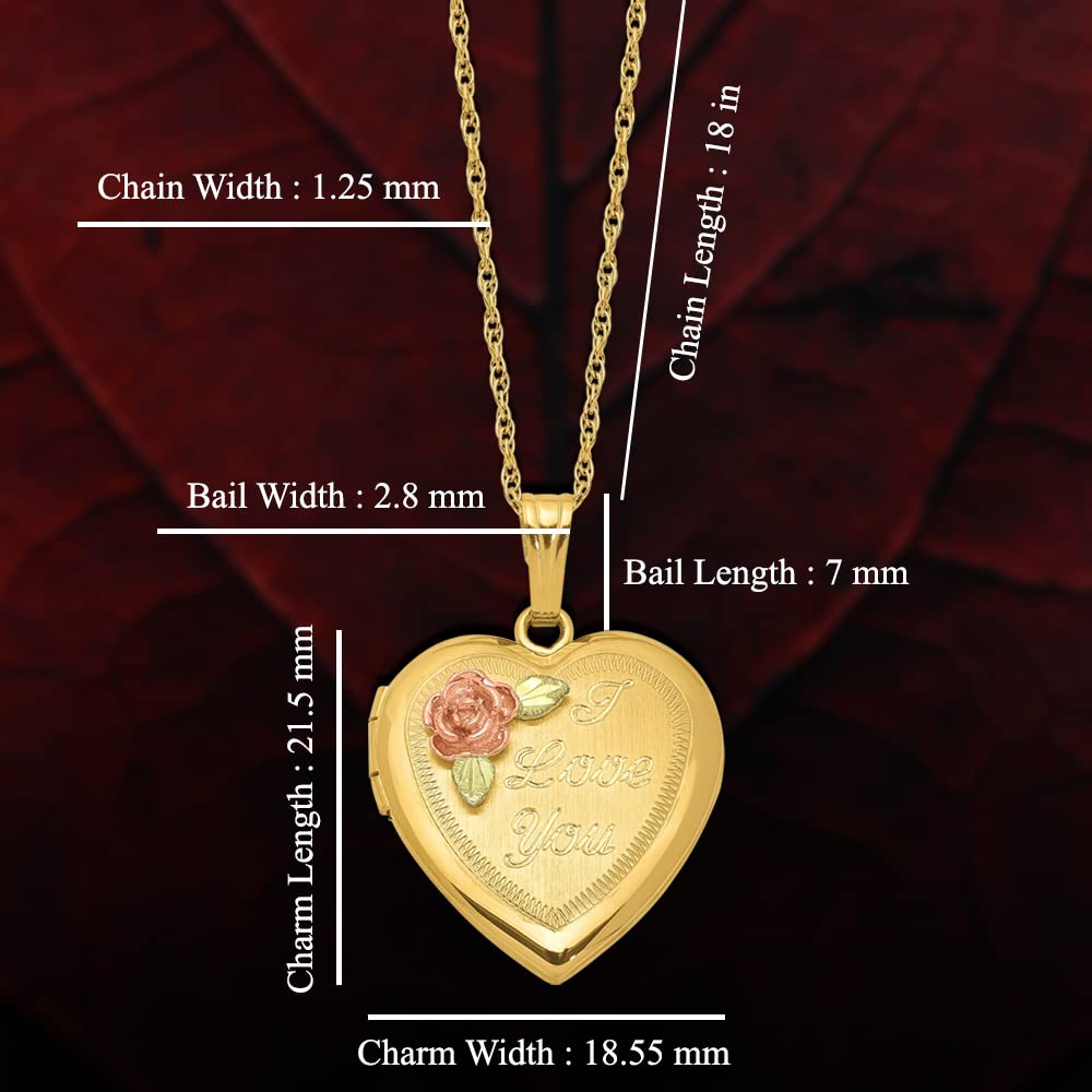 Diamond2Deal 10k w/ 12k Accents and 14k Gold-filled Chain Necklace Black Hills Locket